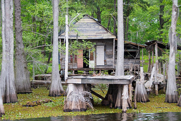 A decrepit old abandoned house located in a swamp in Louisiana. | Sky ...