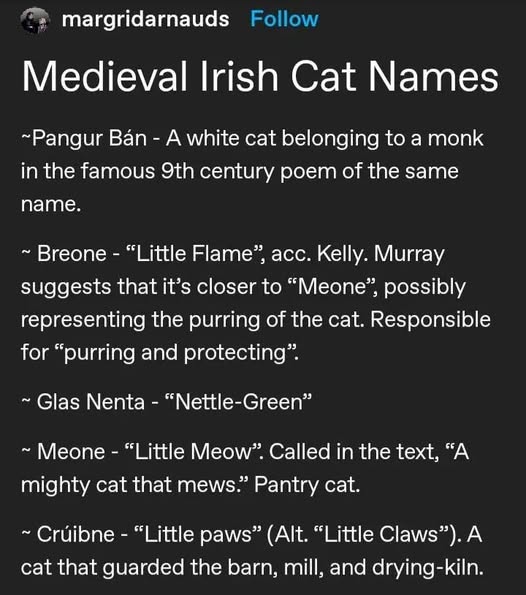 Medieval Irish cats | Sky Dancing