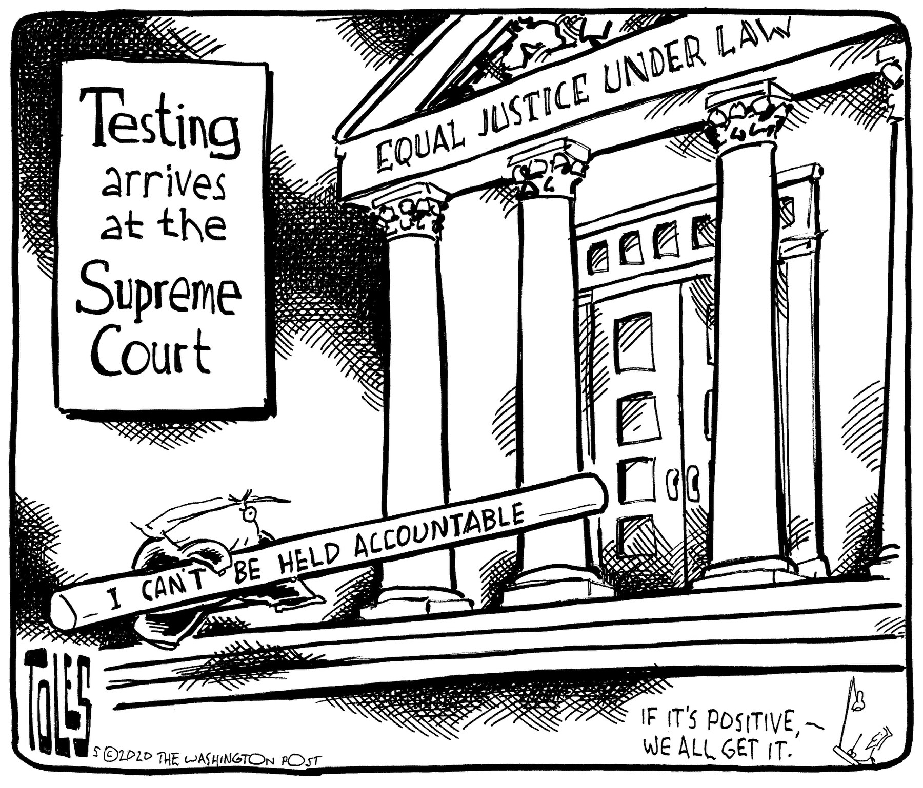 Mostly Monday Reads: A Rogue Supreme Court | Sky Dancing