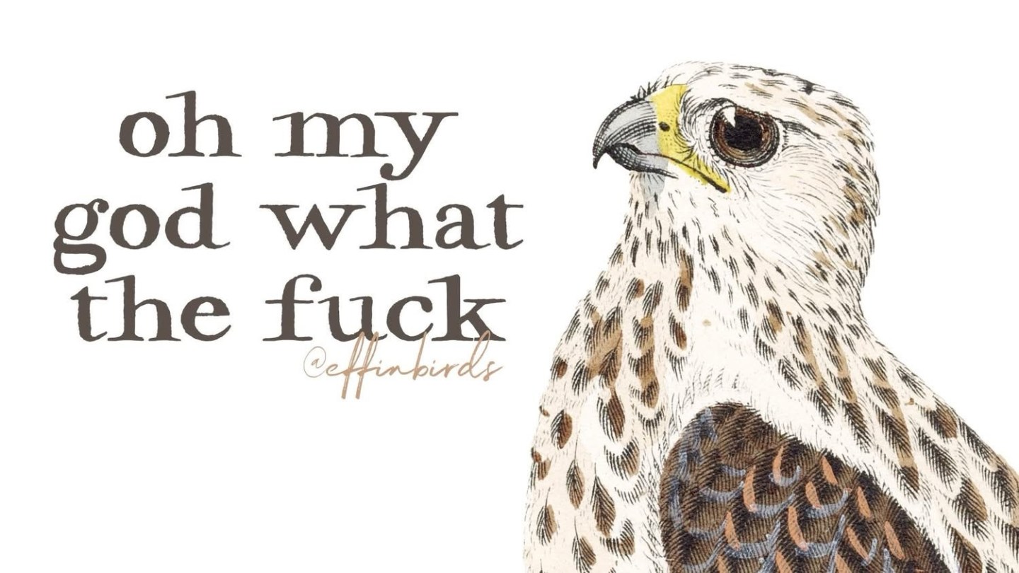 Tuesday Cartoons: Wait For Me | Sky Dancing